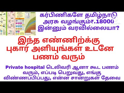 மகப்பேறு உதவி தொகை பெறுவது எப்படி?/pregnancy scheme in tamilnadu/How to get maternity money in tamil