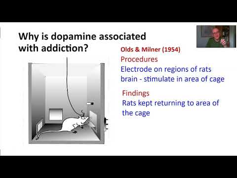 Dopamine explanation of addictive behaviour