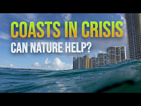 Beyond concrete: Nature-based solutions for coastal management