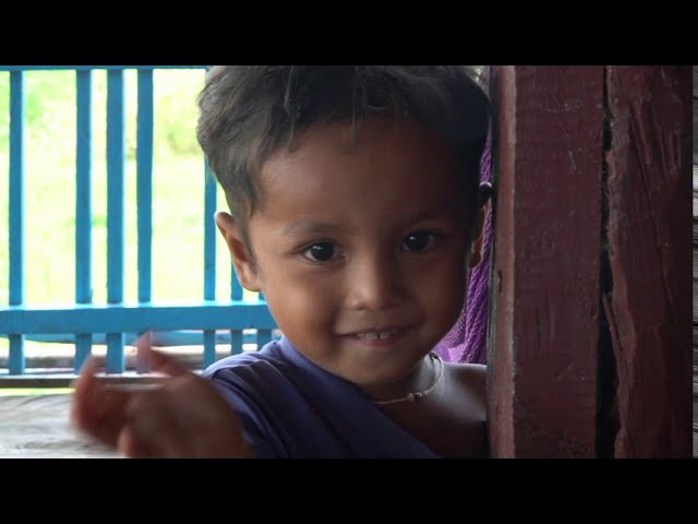 Pollution of the Mekong River organic and plastic wast