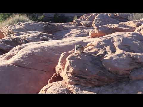Canyonlands National Park: Explore and Learn with RV Leaguers