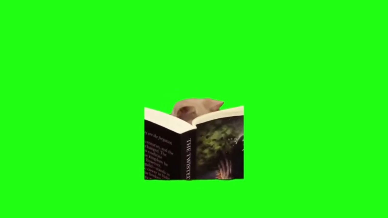 Reading Book Cat | Green Screen Meme | No Copyright | Free Download
