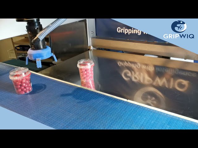 Gripping Devices - Soft Robotic Gripper for Manipulating Soft and ...