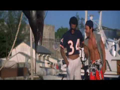 Sweet Freedom by Michael McDonald - Songfacts