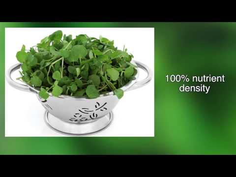 4 Best Disease Fighting Powerhouse Foods