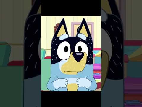 What is Bandit even watching???