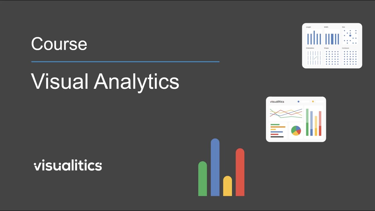 Visual Analytics Training | Visualitics
