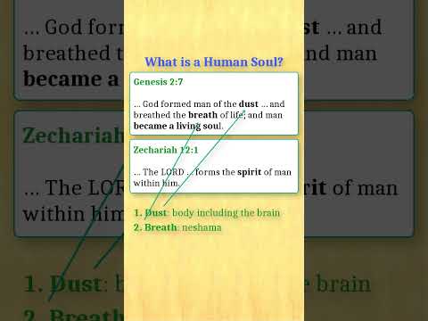 What is a Human Soul? The Most Enigmatic Spiritual Question Answered