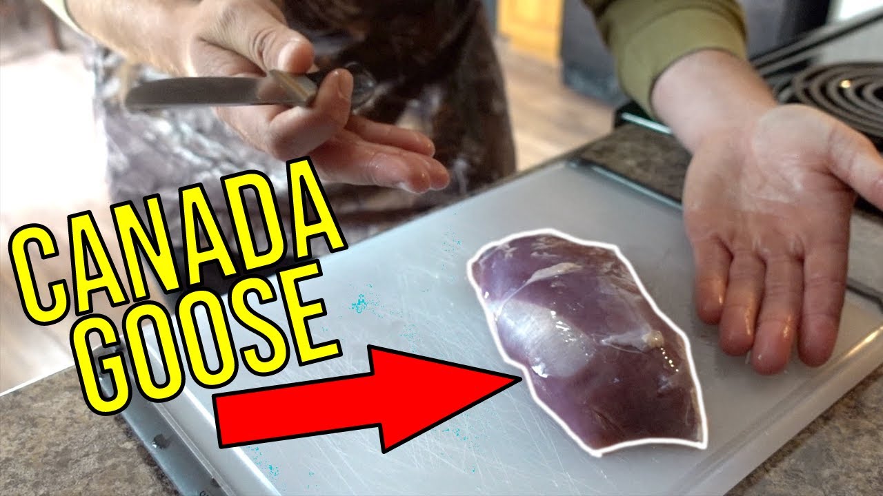 Do THIS before you cook WILD GOOSE