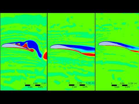 Turbulence Model Differences in Ansys Fluent