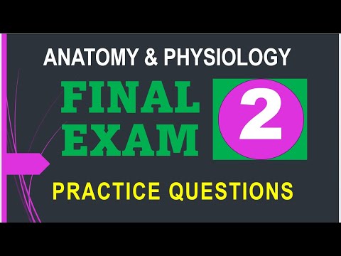 Anatomy & Physiology Final Exam Practice Questions Part 2