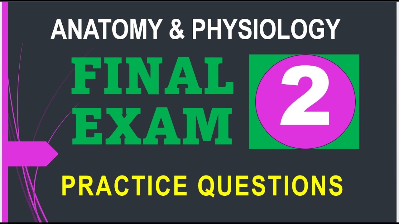 Anatomy & Physiology Final Exam Practice Questions Part 2