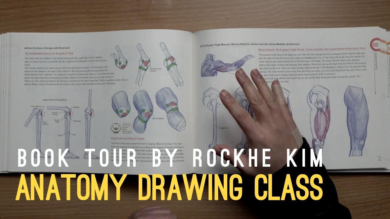 Book tour: ANATOMY DRAWING CLASS By Rockhe Kim For Beginners