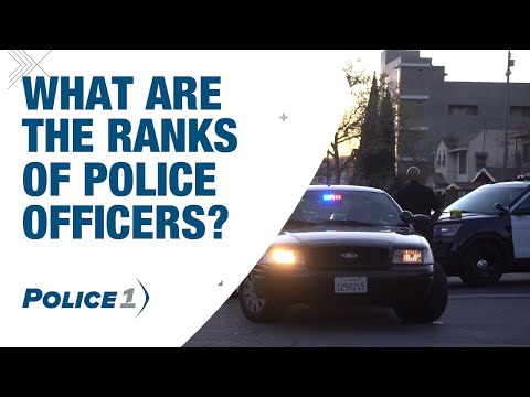 What are the ranks of police officers?