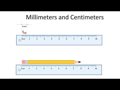 Metric units of length | How to convert mm, cm, m and km