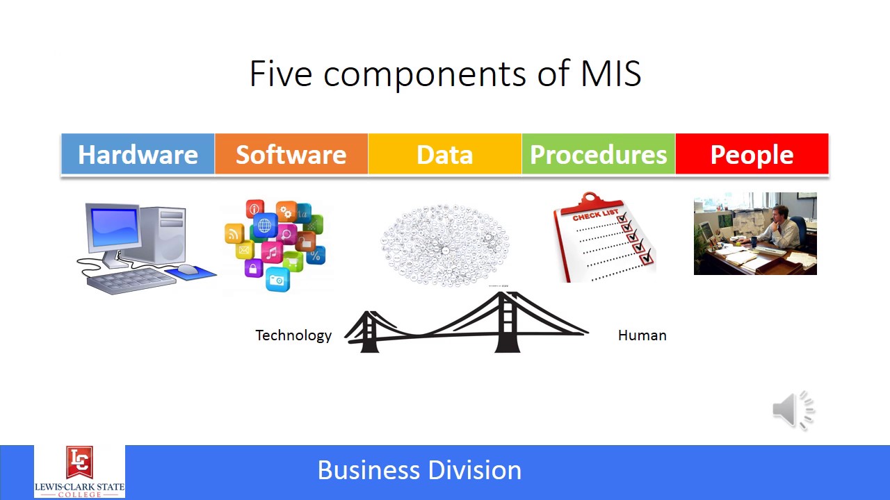 Introduction to Management Information Systems