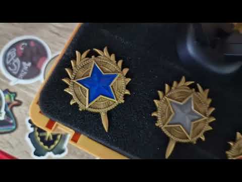 Steam Community :: Video :: Getting REAL 3D Service Medal 2020 CS GO ...