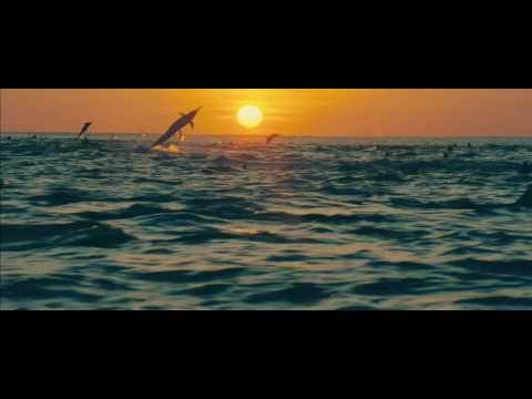 Oceans (2010) - Theatrical Trailer (HD)