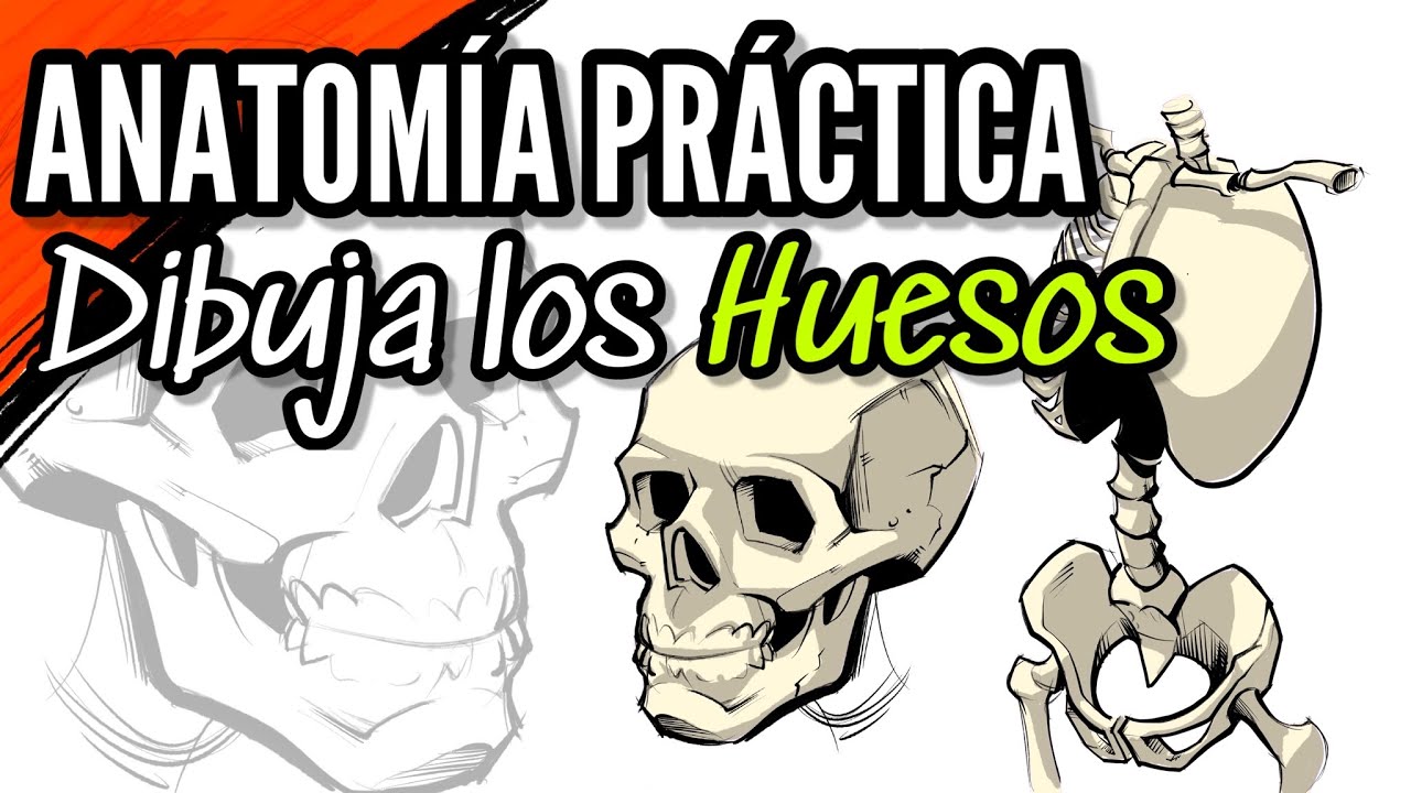CÓMO DIBUJAR LOS HUESOS / ANATOMÍA HUMANA / TUTORIAL DE DIBUJO / CURSO DE DIBUJO / #dibujo #arte