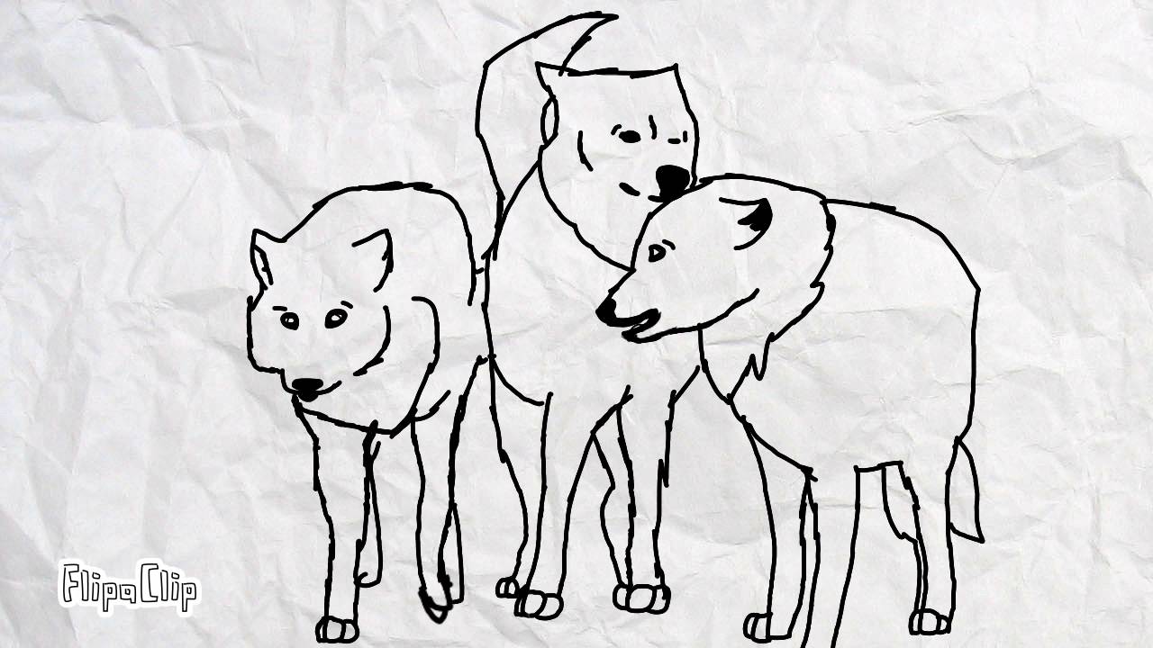 three happy wolves
