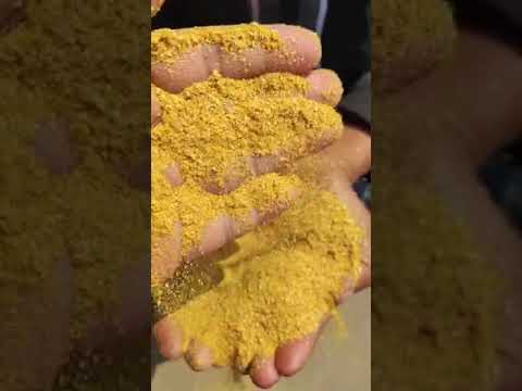 Corn DDGS - Maize Ddgs Latest Price, Manufacturers & Suppliers