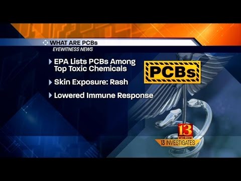 What are PCBs?