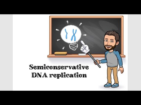 DNA REPLICATION (EASY UNDERSTANDING)