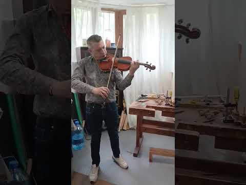 Professional Handmade 4/4 Violin - A. Stradivari “Cremonese | Reverb