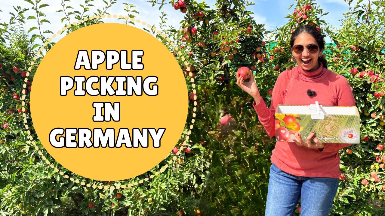 Apple Picking in Germany's Biggest Orchard 🍎 | What I Found in Altes Land