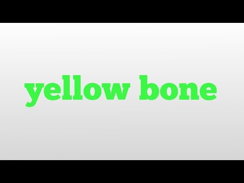 yellow bone meaning and pronunciation
