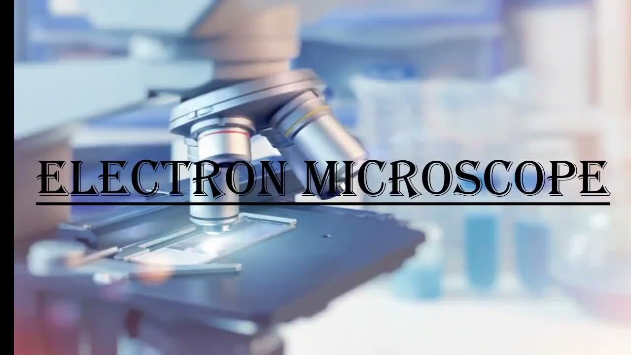 Power point presentation of Electron Microscope 🔬