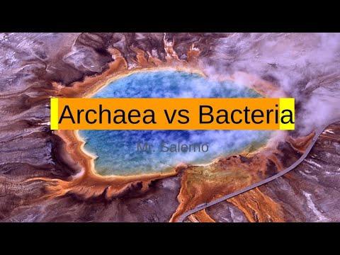 Archaea vs Bacteria