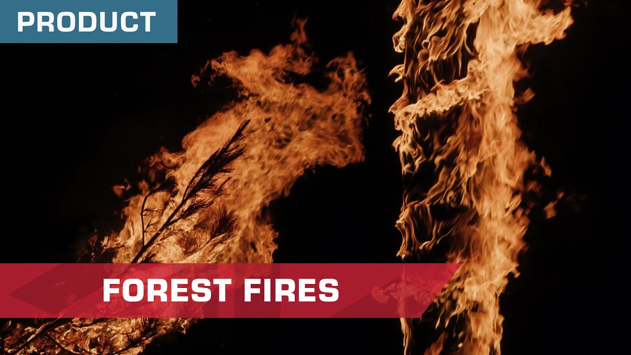 Forest Fires Stock Footage Now Available | ActionVFX