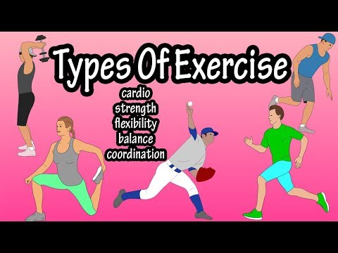 Different Main Types Of Exercises - Cardio, Strength Training, Flexibility, Balance And Coordination