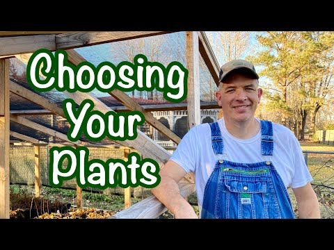 Getting a Nursery Started - What plants will you grow?