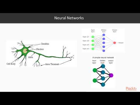 Learn Deep Learning Architecture for Building Artificial Neural Networks Neural Netw Wrk ...