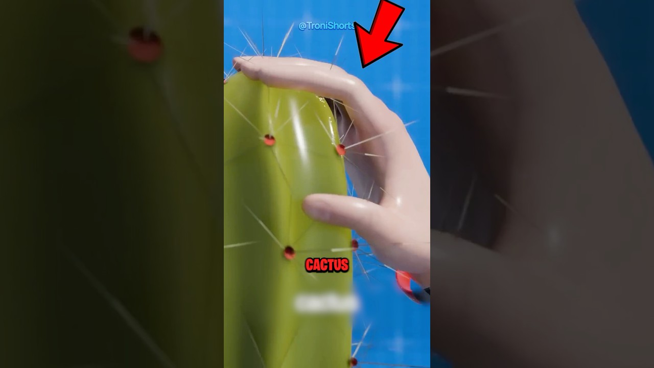 How To Remove Cactus Spines! 😱