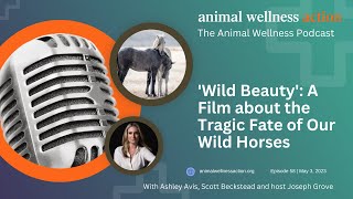 Animal Wellness Action - GuideStar Profile