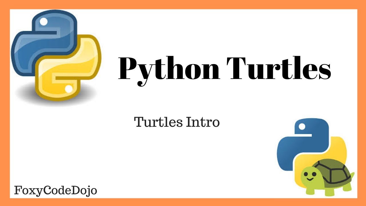 Python Turtle Basics - [Part 4]