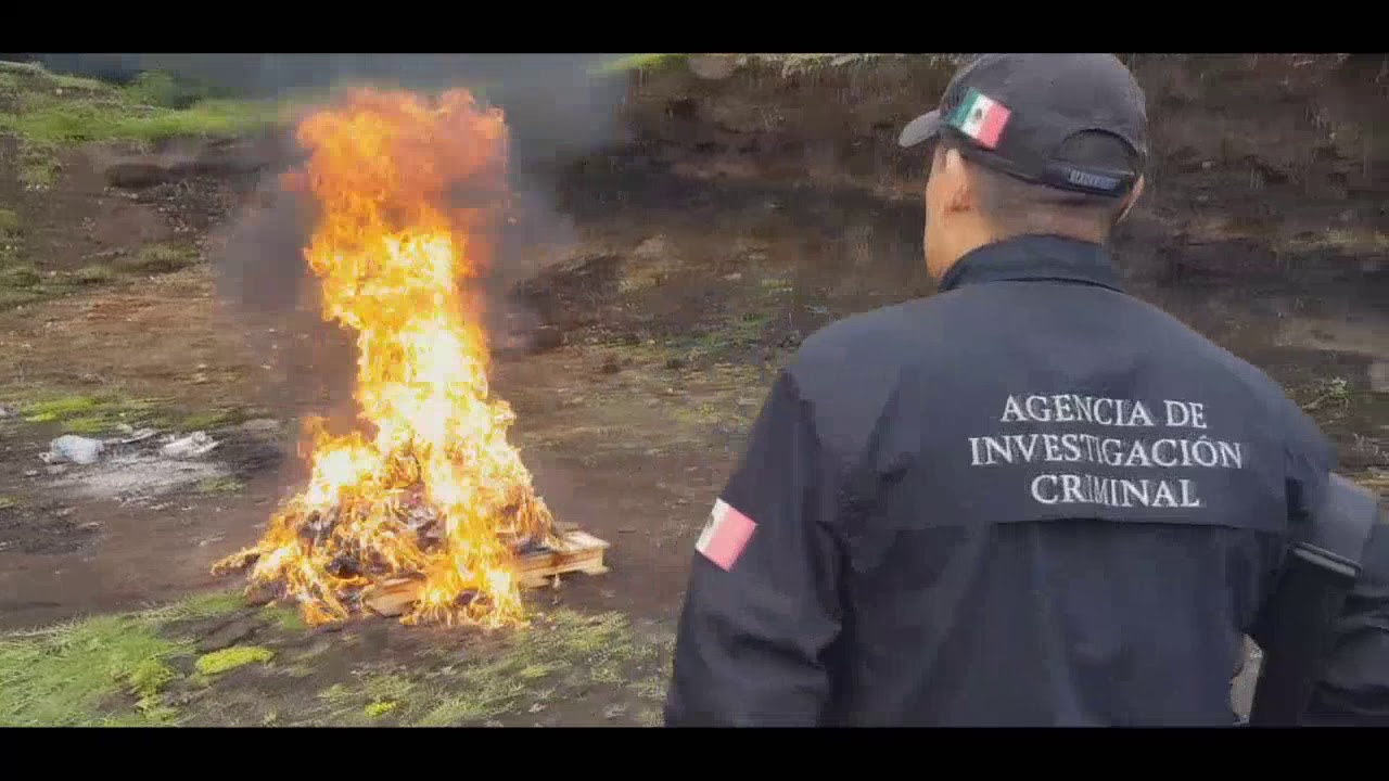 Aspectos FGR incineración de drogas