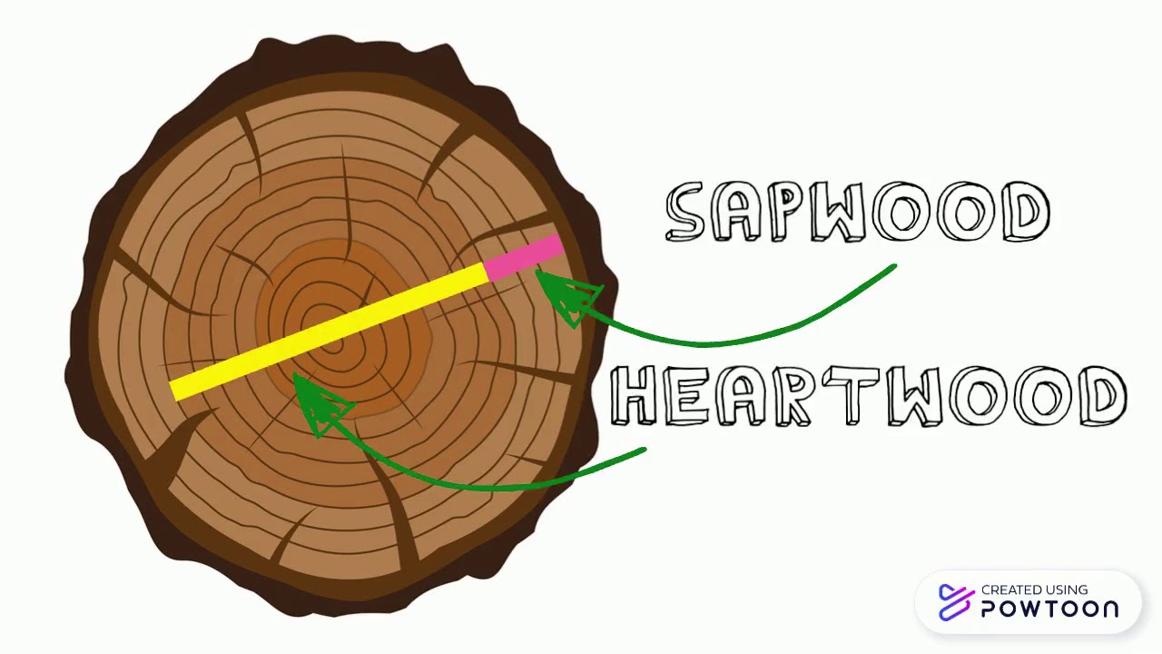Materials of a Tree Structure
