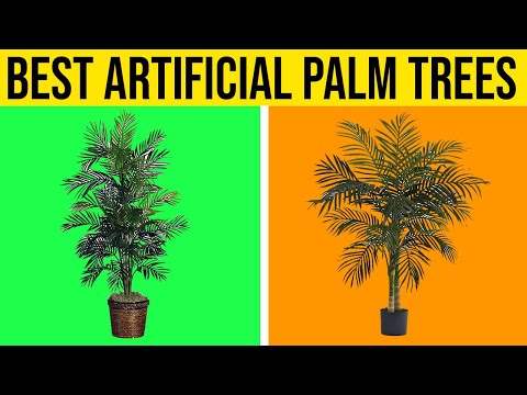 Top 5 Best Artificial Palm Trees