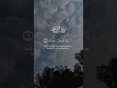 Surah At Takwir | Surah Mubarak #quran #quranrecitation #surah #islamicvideo #tilawat