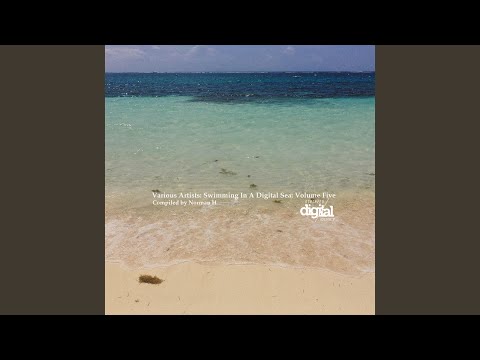 Observations (Original Mix)