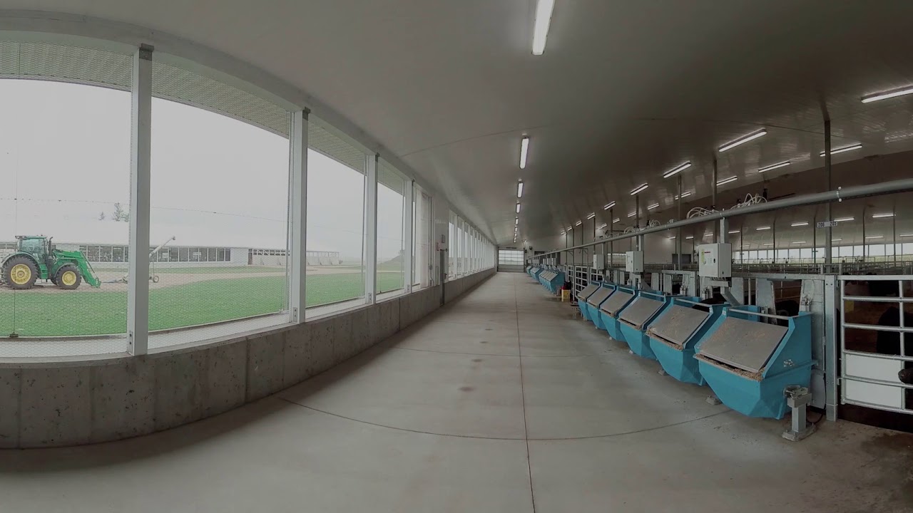 Cow-Calf Housing - Virtual 360º Tour of the Ontario Beef Research Centre