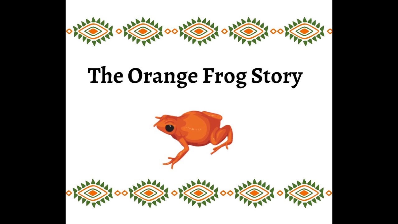 The Orange Frog Story