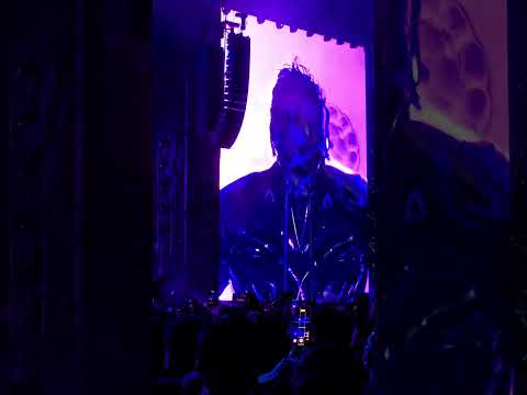 Zoé - Vinyl VIVE LATINO 2025