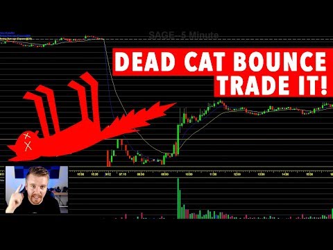 Day Trading DEAD CAT BOUNCE! TRADE IT!