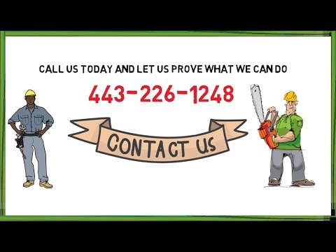 Tree Trimming or Removal Baltimore County Area 443-226-1248