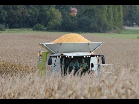 CLAAS Harvester - Latest Price, Dealers & Retailers in India